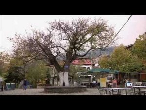 ΣΑΜΑΡΙΝΑ- ΟΔΟΙΠΟΡΙΚΟ ΣΤΑ ΒΛΑΧΟΧΩΡΙΑ ΤΗΣ ΠΙΝΔΟΥ – Σαμαρίνα